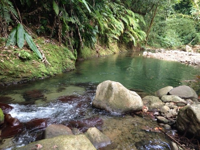 35 Acres of Land for Sale, Dominica - 7th Heaven Properties