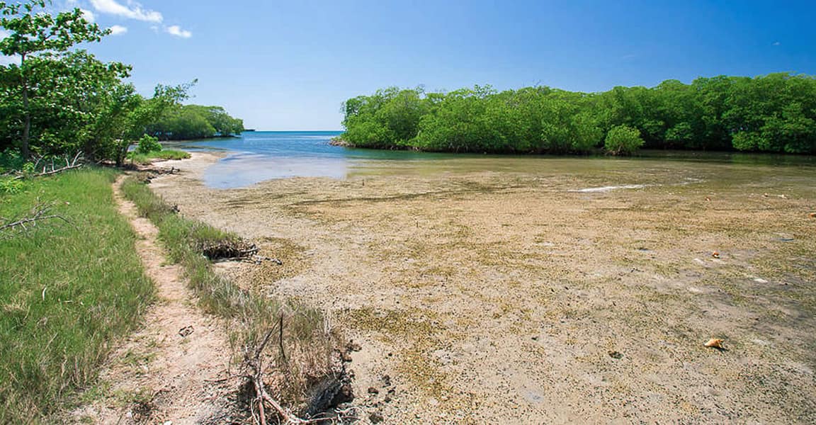 1 Acre of Beachfront Land for Sale, Hottest Sparrow, Roatan - 7th ...