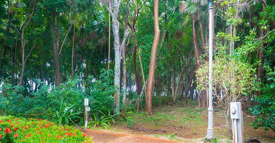 0.53 Acre Beachfront Lot for Sale, Parrot Tree Plantation, Roatan - 7th ...