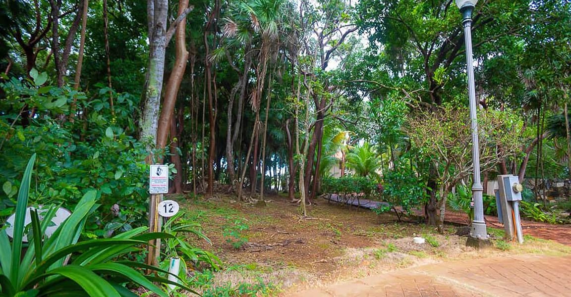0.53 Acre Beachfront Lot for Sale, Parrot Tree Plantation, Roatan - 7th ...