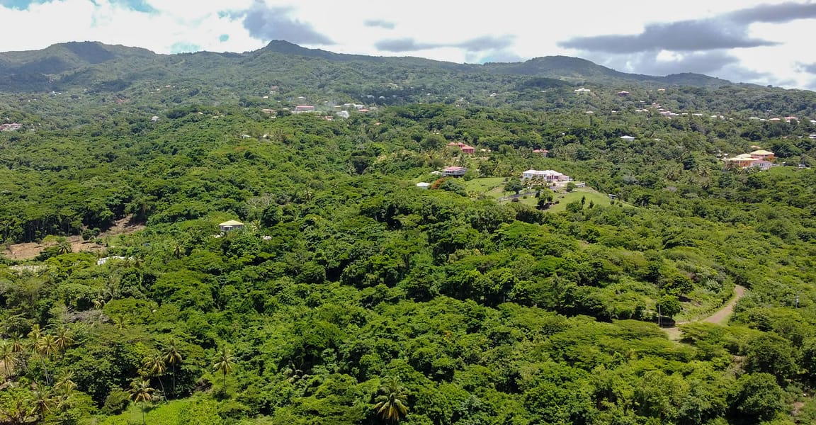 9.2 Acres of Beachfront Land for Sale, Crochu, St David's, Grenada ...
