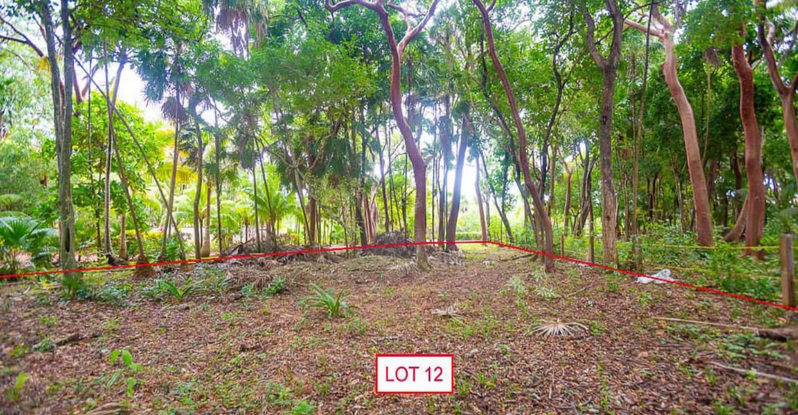 0.53 Acre Beachfront Lot for Sale, Parrot Tree Plantation, Roatan - 7th ...