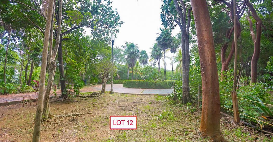 0.53 Acre Beachfront Lot for Sale, Parrot Tree Plantation, Roatan - 7th ...