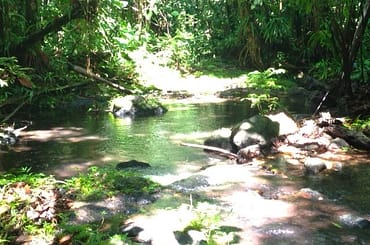 Land for Sale in Dominica