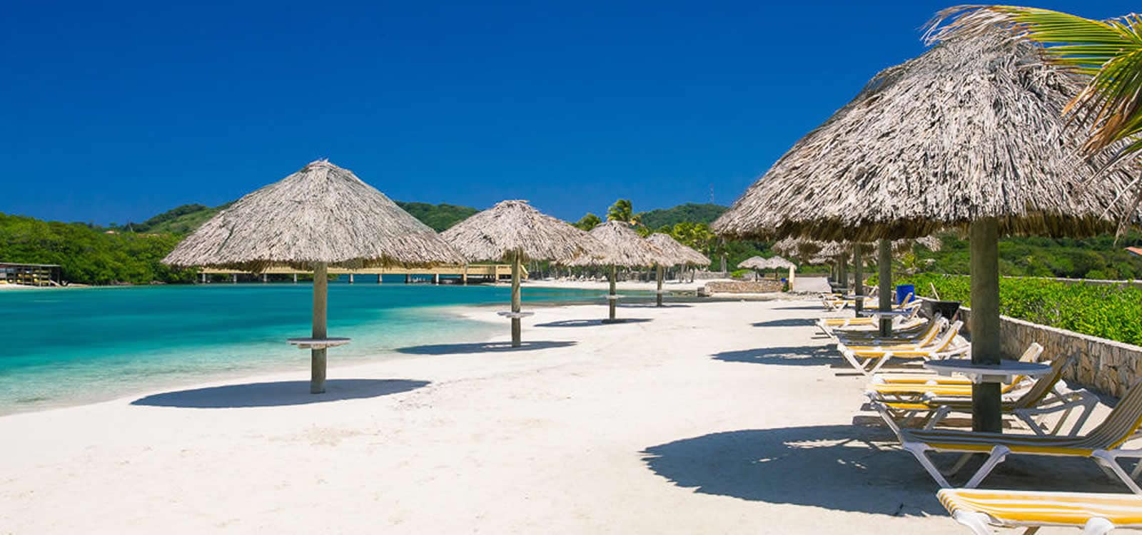 Half Acre Lot of Oceanfront Land for Sale, Parrot Tree Plantation ...