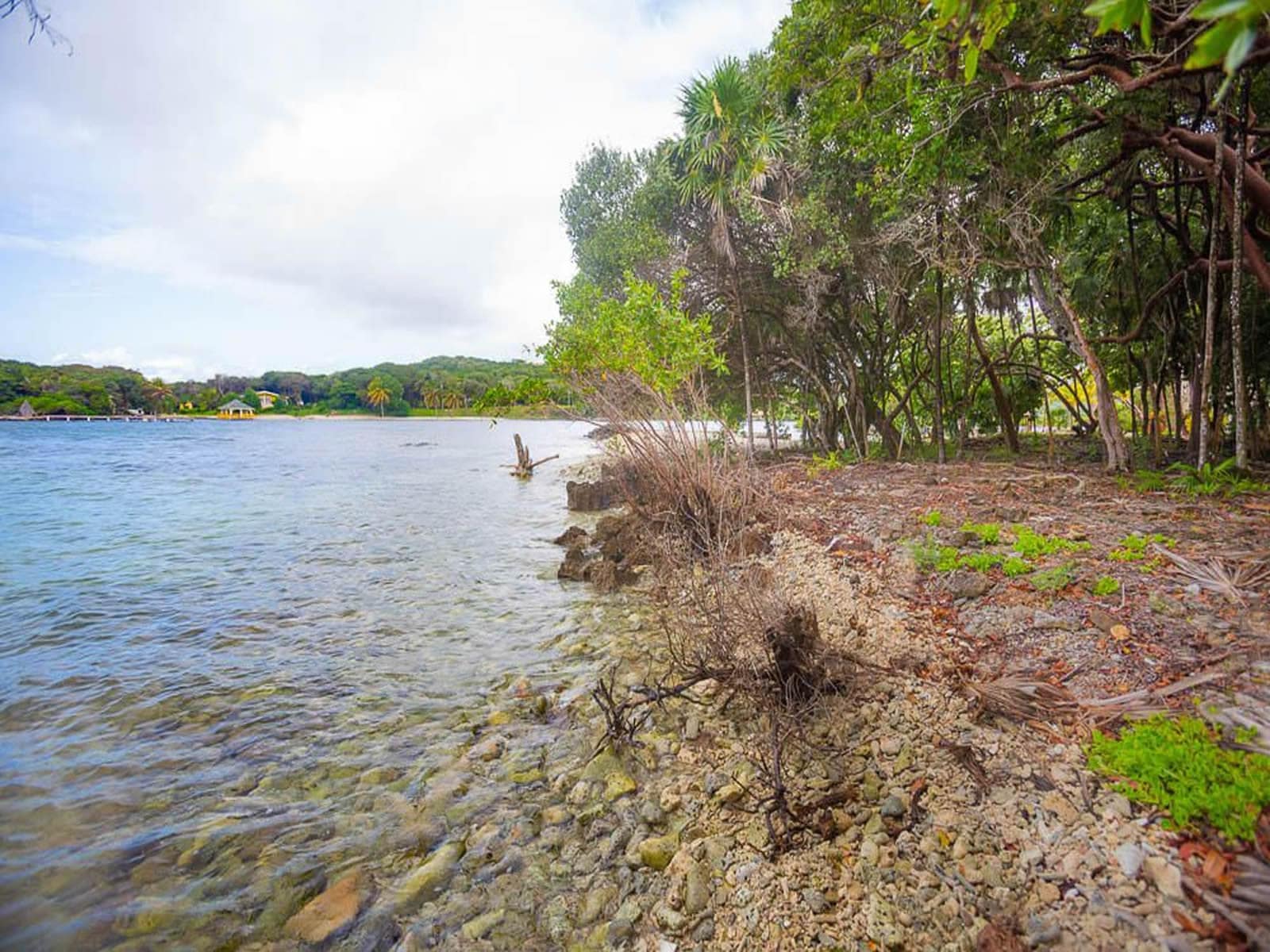 0.53 Acre Beachfront Lot for Sale, Parrot Tree Plantation, Roatan - 7th ...