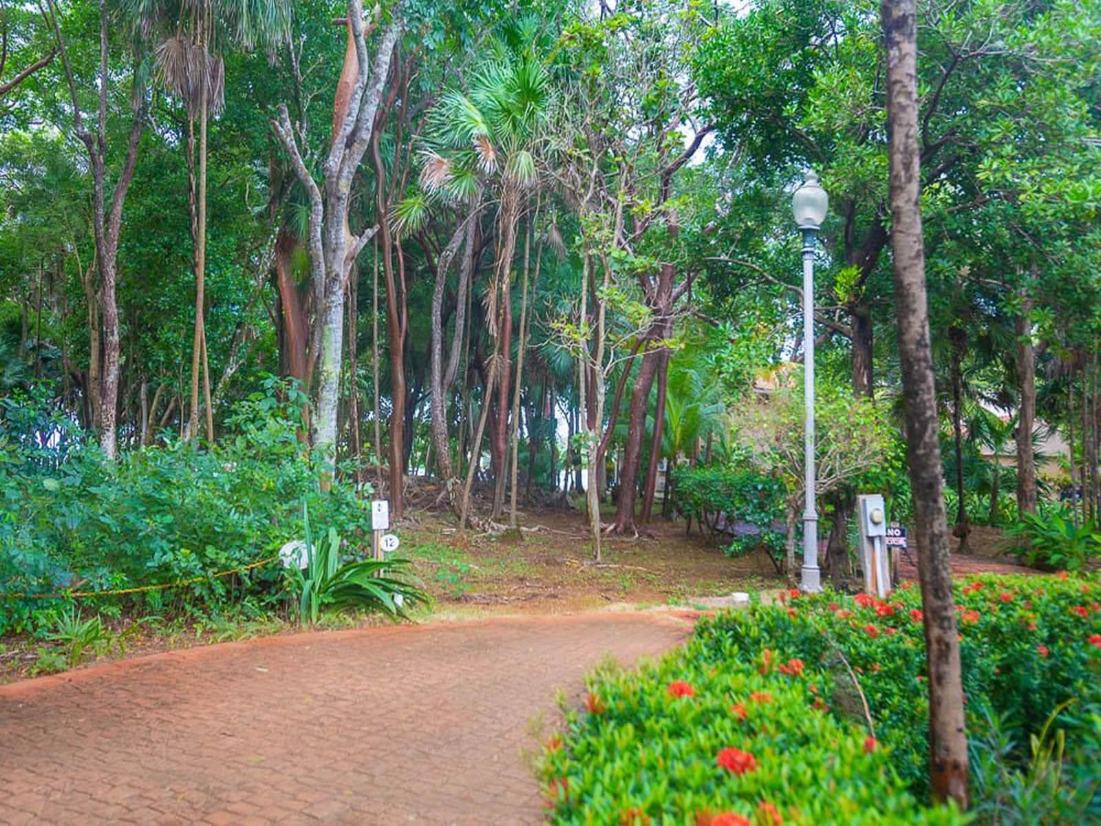 0.53 Acre Beachfront Lot for Sale, Parrot Tree Plantation, Roatan - 7th ...