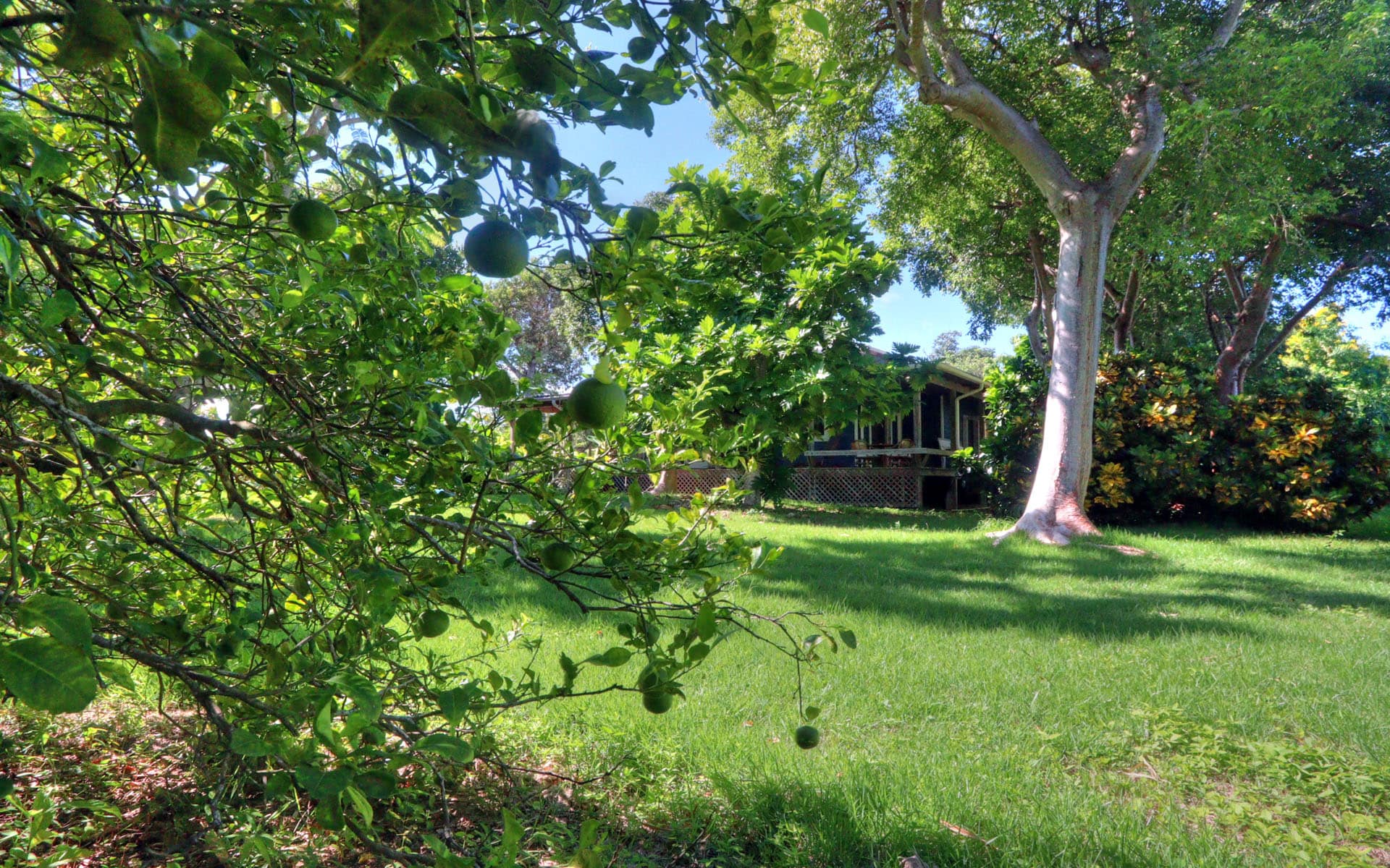 4.8 Acre Estate for Sale, Manjack Cay, Northern Abaco Cays, Abaco ...