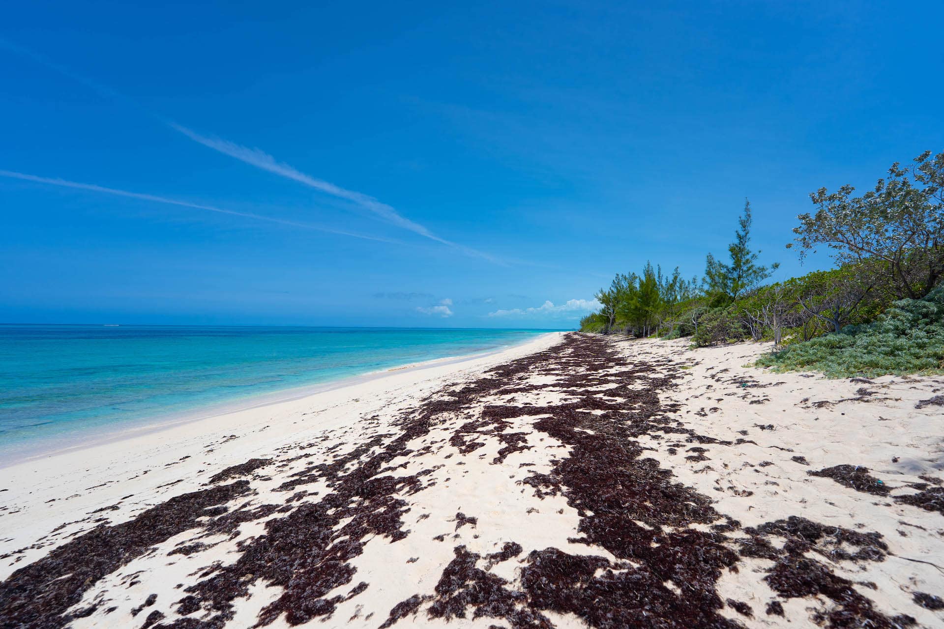 0.7 Acre Beachfront Lot for Sale, Coco Bay, Green Turtle Cay, Abaco ...
