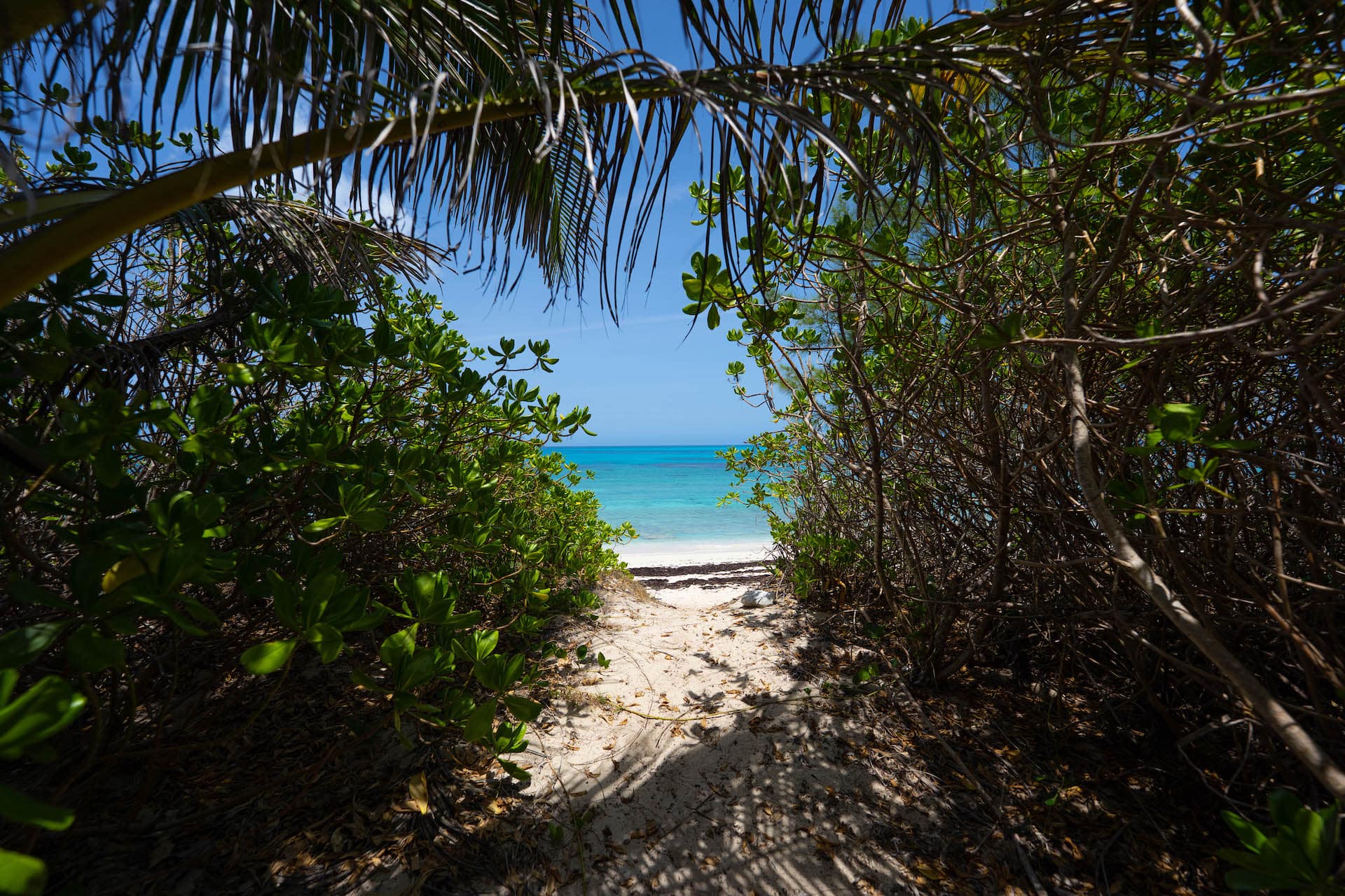 0.7 Acre Beachfront Lot for Sale, Coco Bay, Green Turtle Cay, Abaco, Bahamas - 7th Heaven Properties