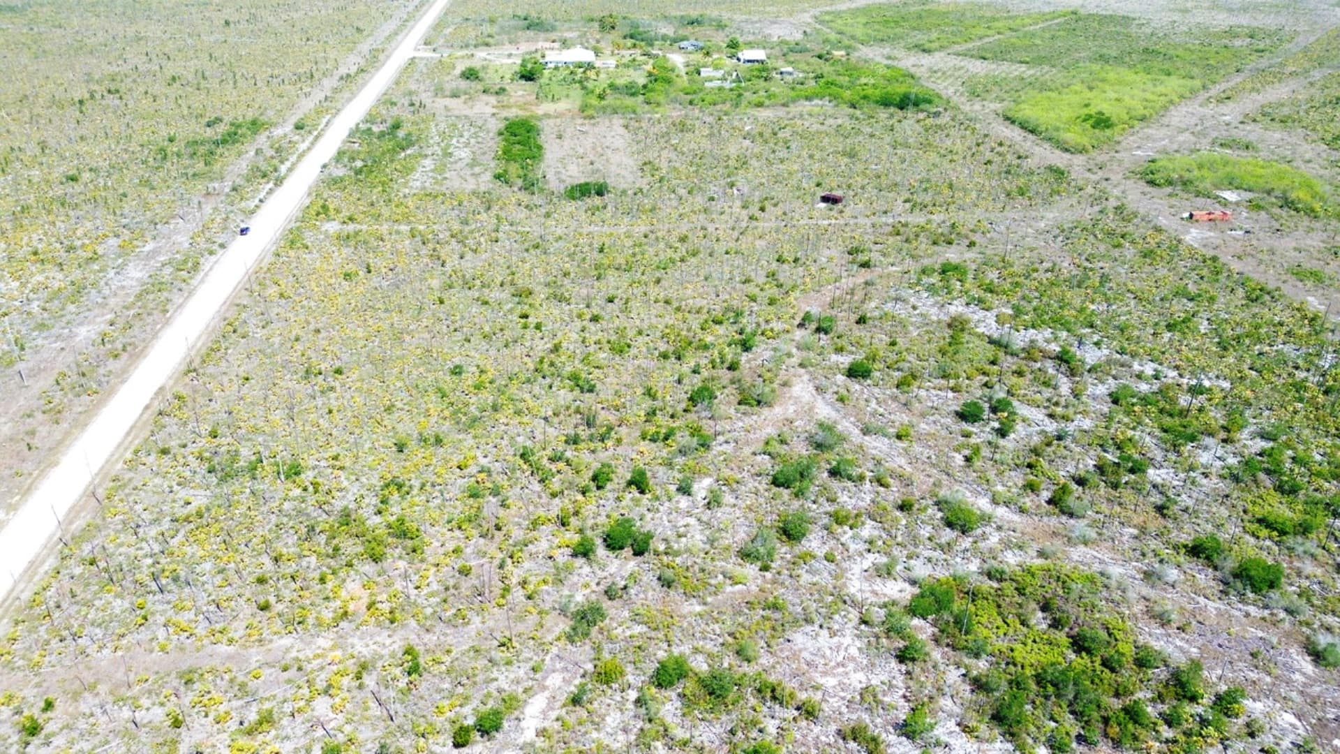 10 Acres of Farm Land for Sale, Grand Bahama Highway, Bahamas - 7th ...