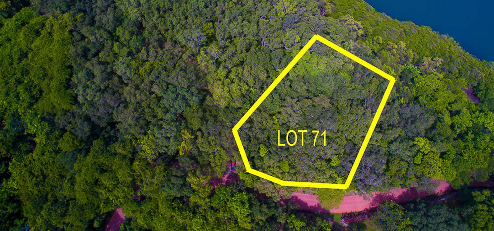 Half Acre Lot of Oceanfront Land for Sale, Parrot Tree Plantation ...